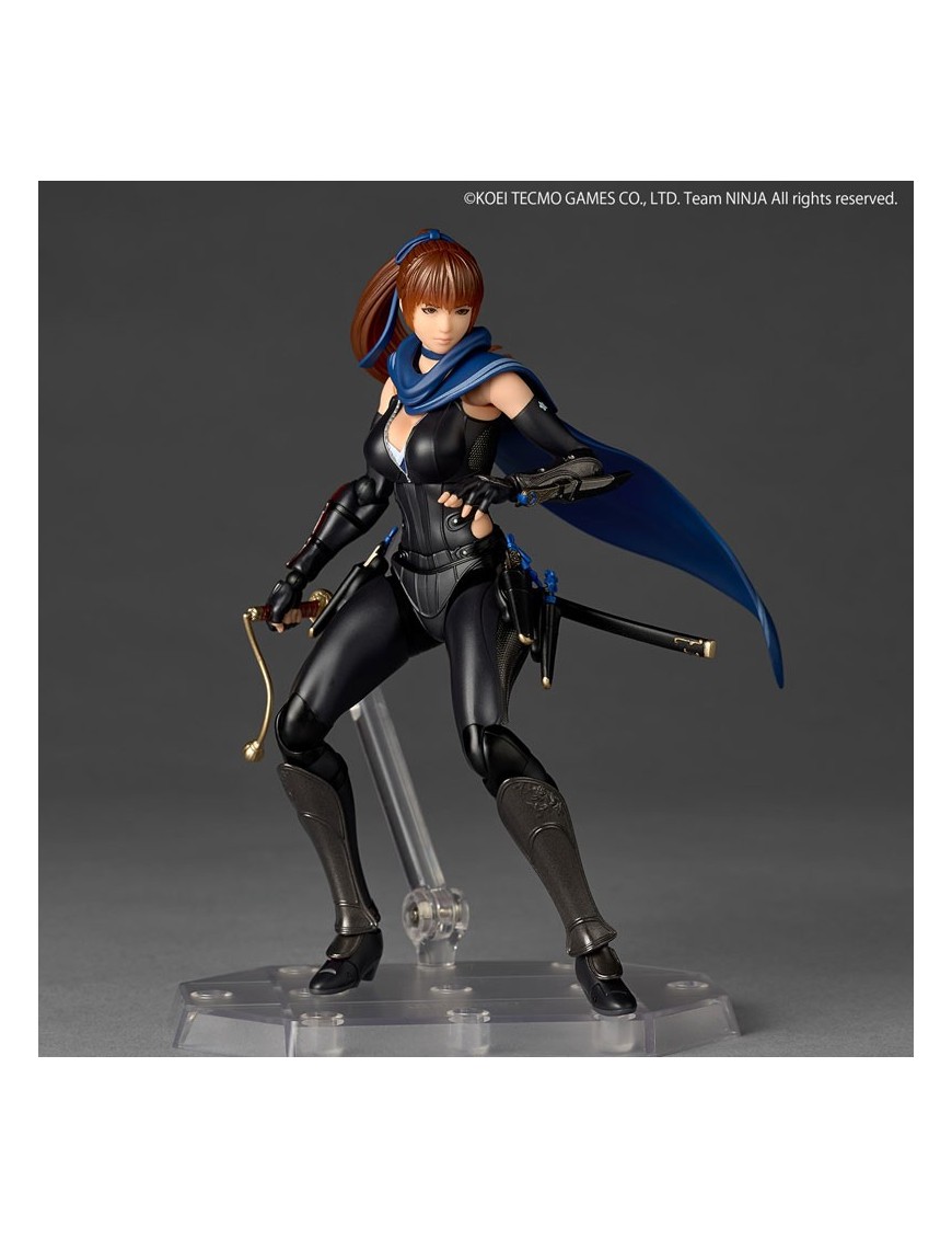 Kaiyodo Amazing Yamaguchi Revoltech Ninja Gaiden 3 Razor's Edge Kasumi